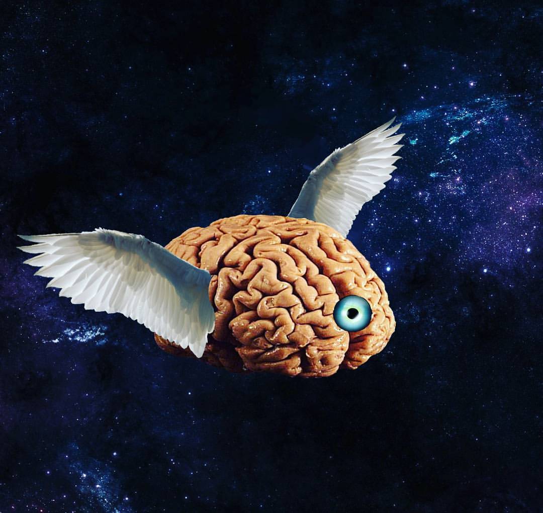 Meanderings of the Mind