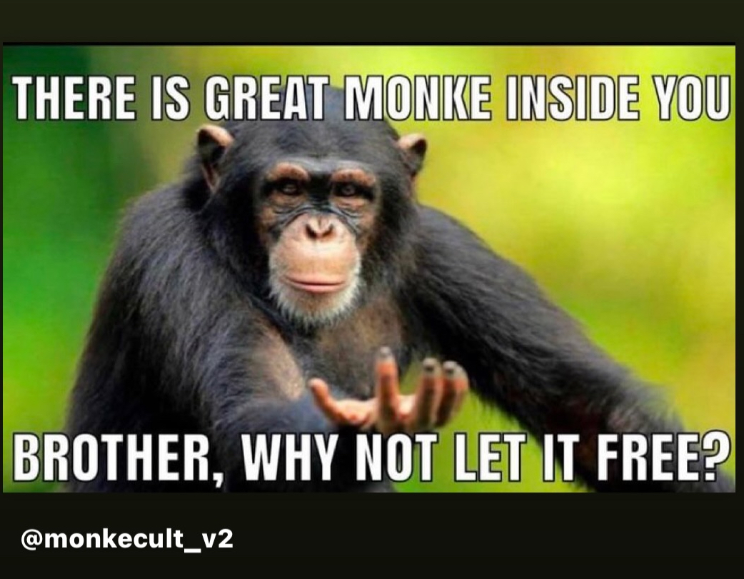 Set That Monkey Free!